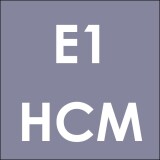 Group: JDE - E1 HCM SIG